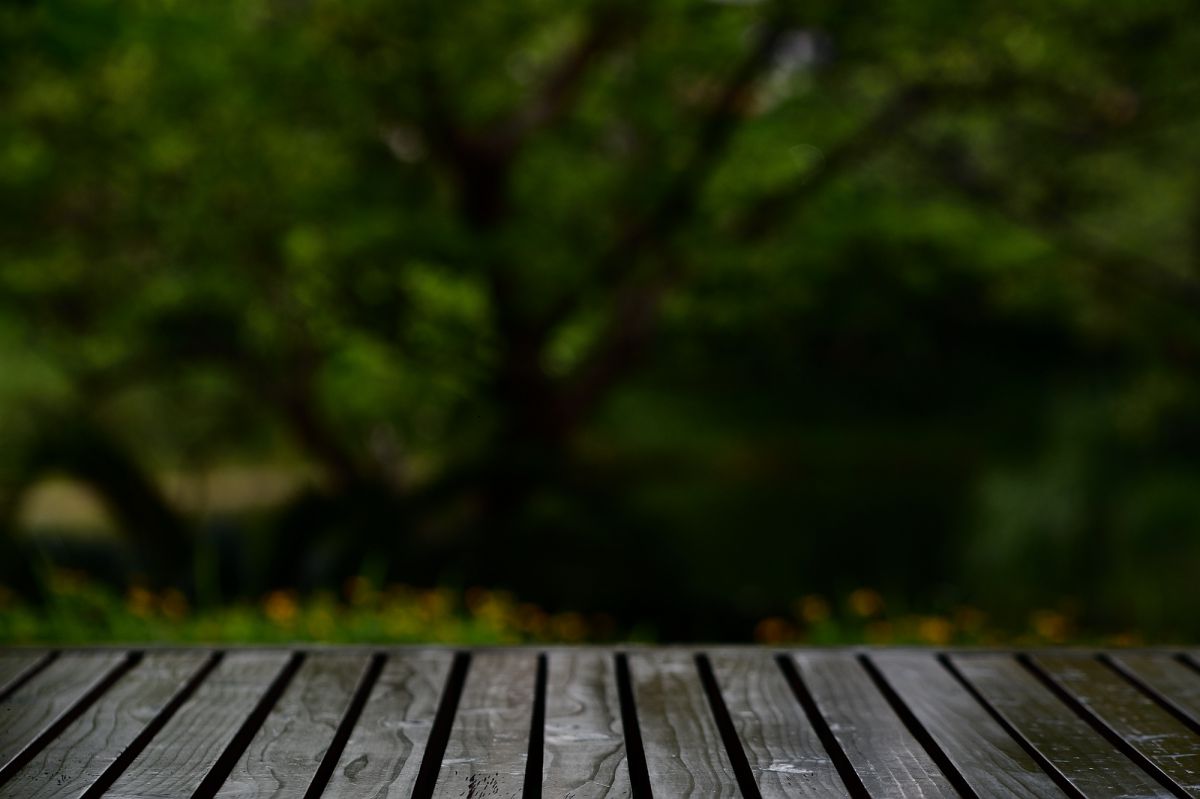 ＊Reset＊ | GANREF