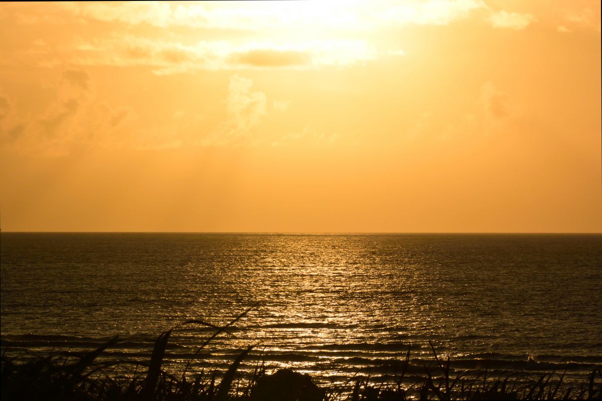 memories of summer #4 | GANREF