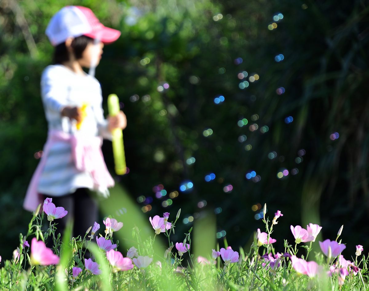 Soap bubbles of the dream | GANREF