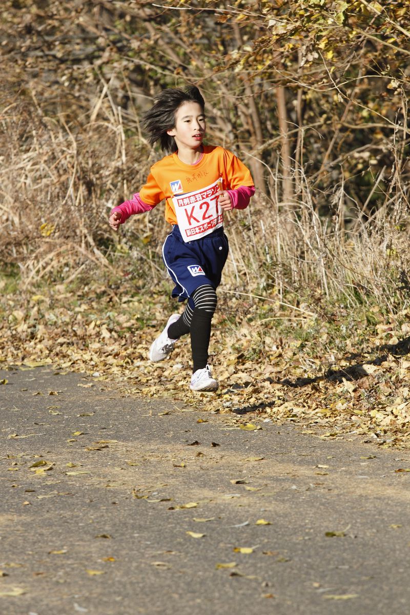 駆け抜ける！ | GANREF