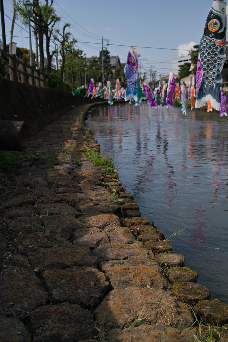 SDIM0101.jpg | GANREF