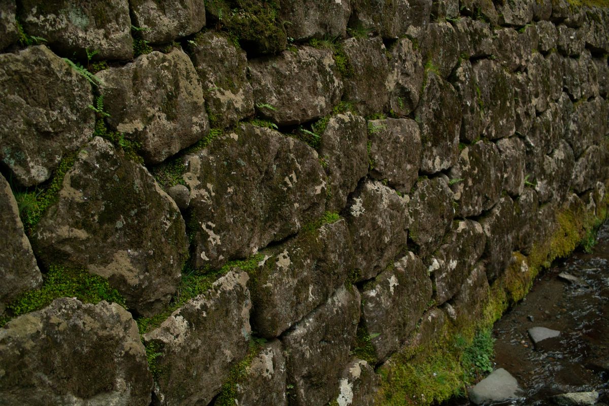 SDIM0430.jpg | GANREF