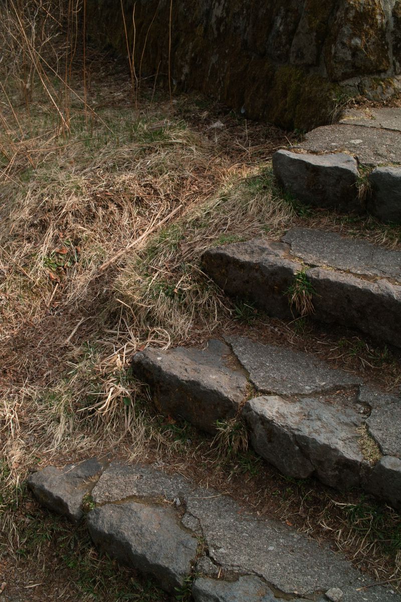 SDIM0472.jpg | GANREF