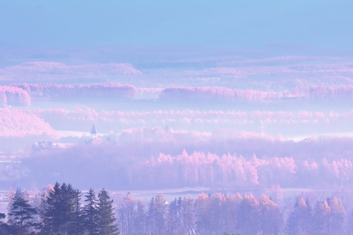 a faint sound | GANREF