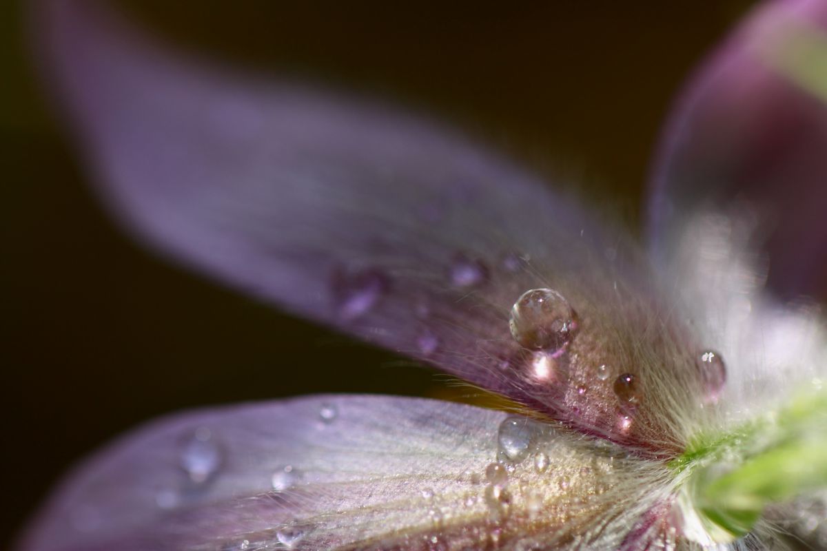 morning shower | GANREF