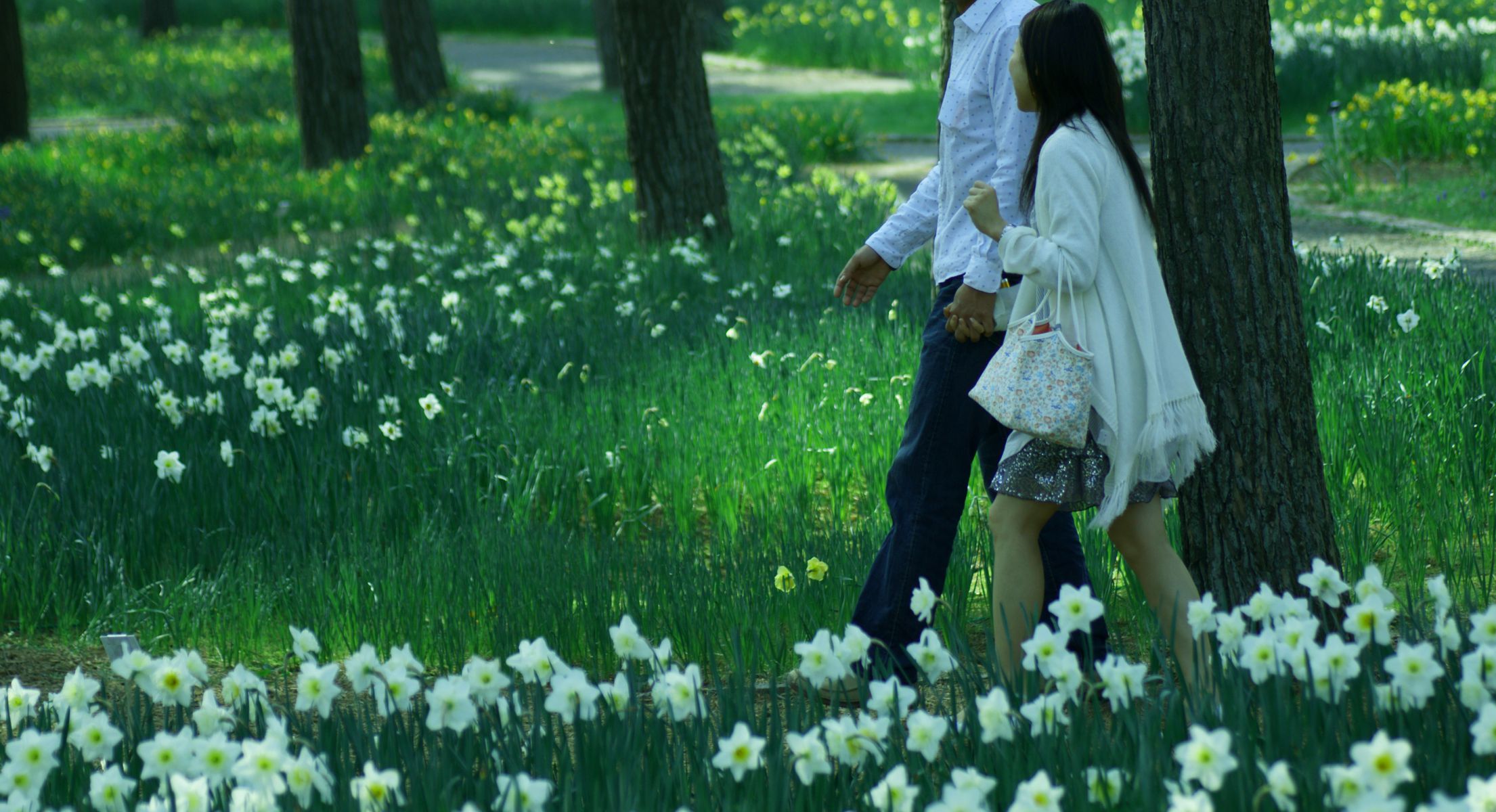 手をつないで・・・ | GANREF