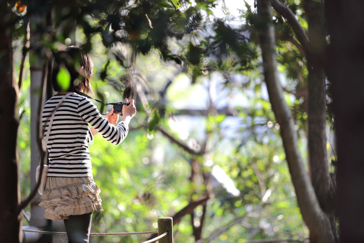 カメラじょし | GANREF