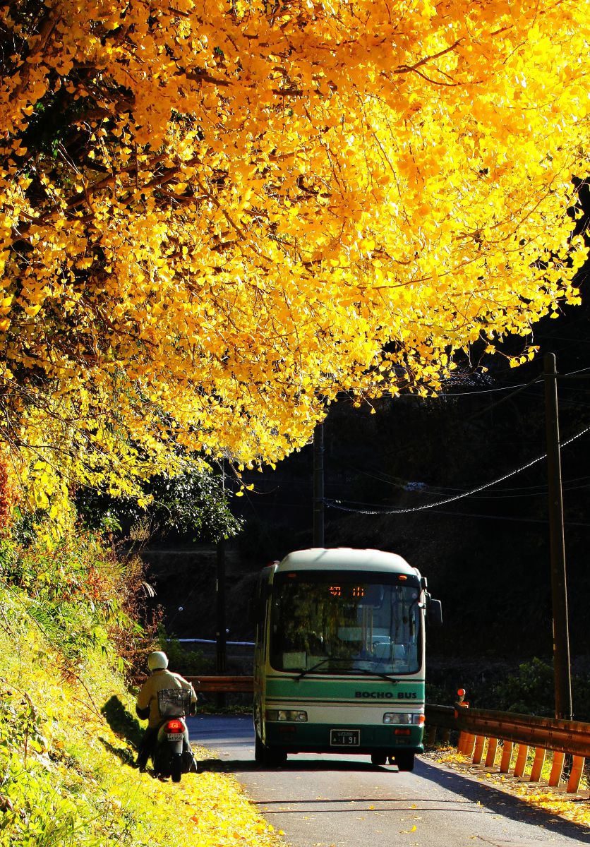 山里の秋 | GANREF