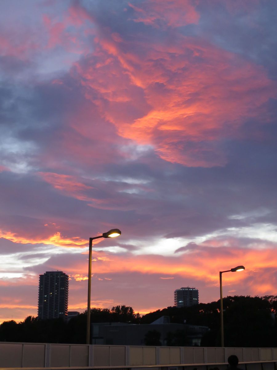 The sky is on fire | GANREF