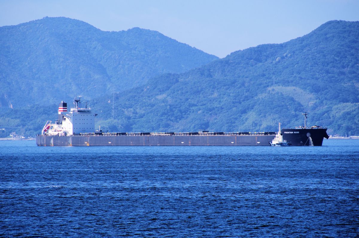 FRONTIER ROSE | GANREF