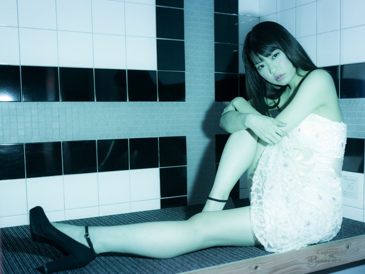 a cat in a showcase | GANREF