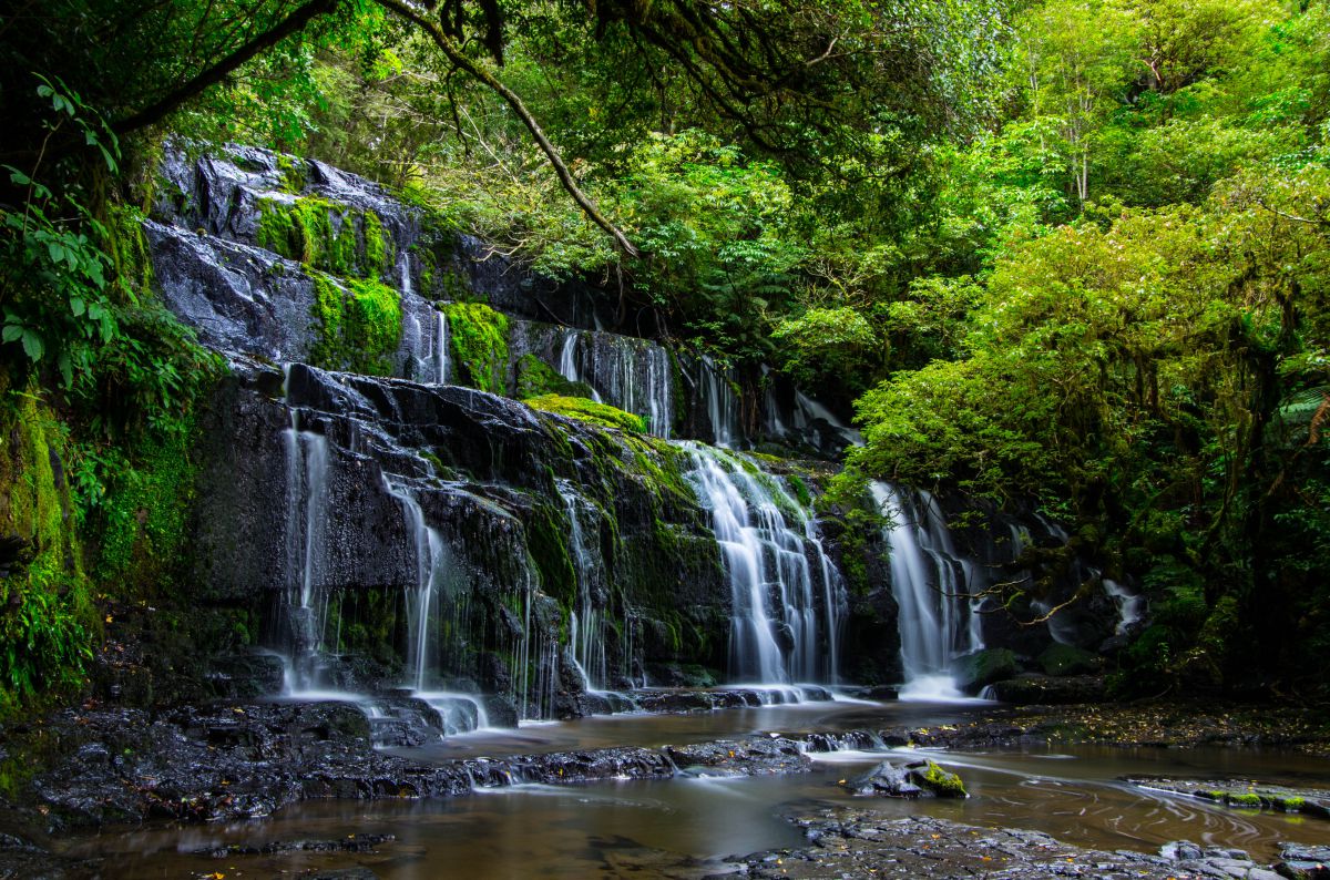 purakanui falls | GANREF