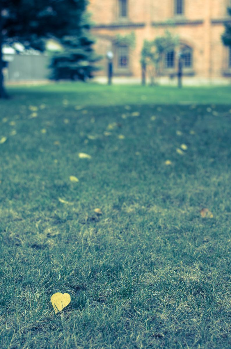 a sign of fall | GANREF