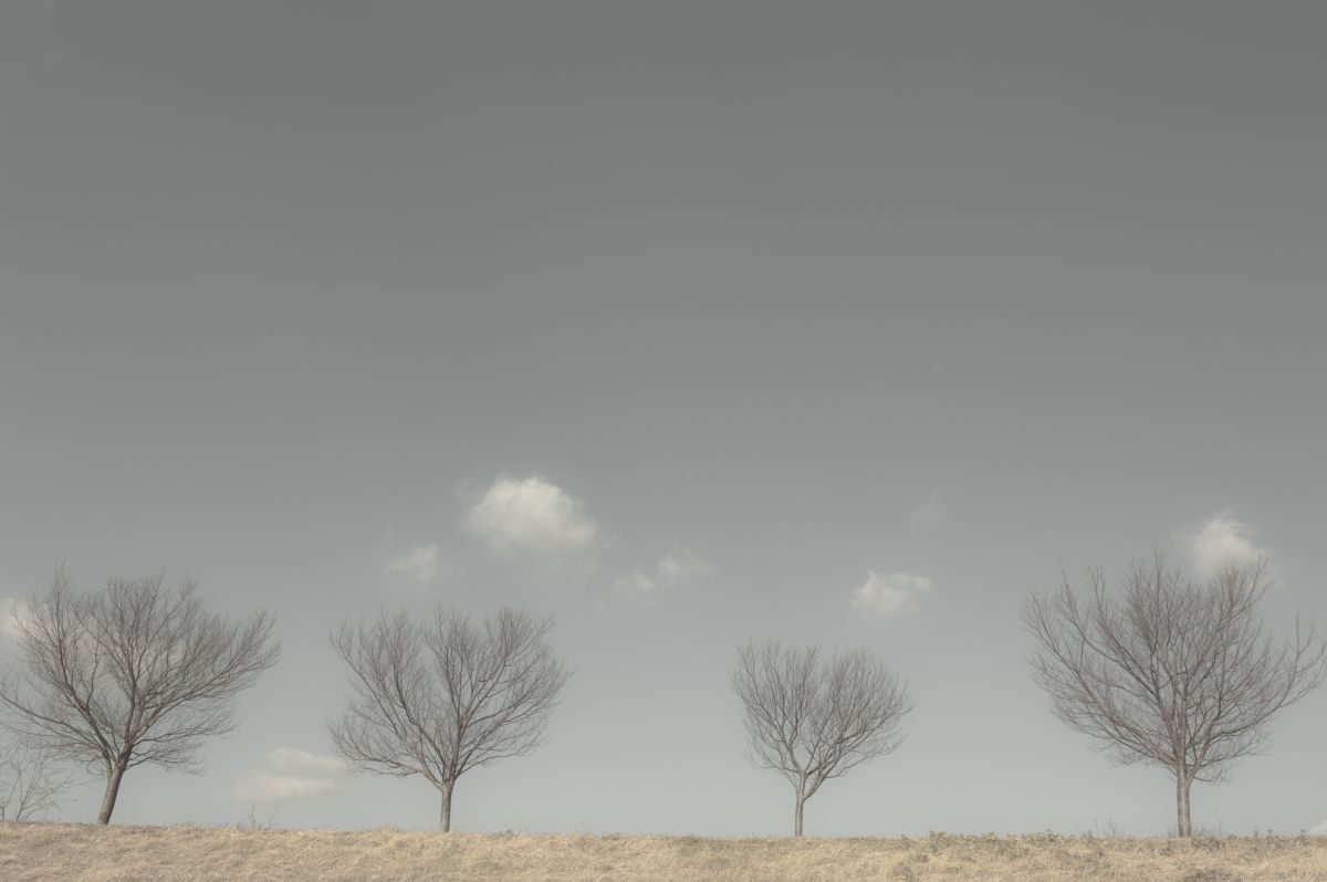 winter version | GANREF