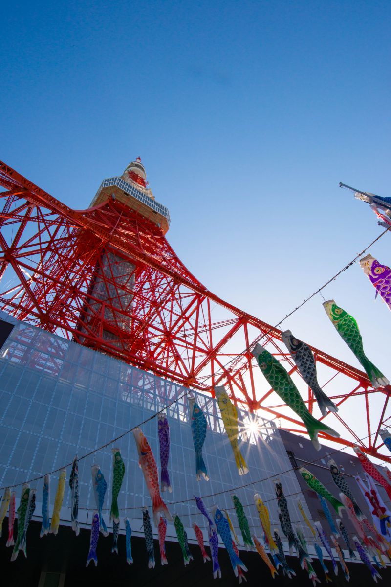 333にキラリん☆彡 | GANREF