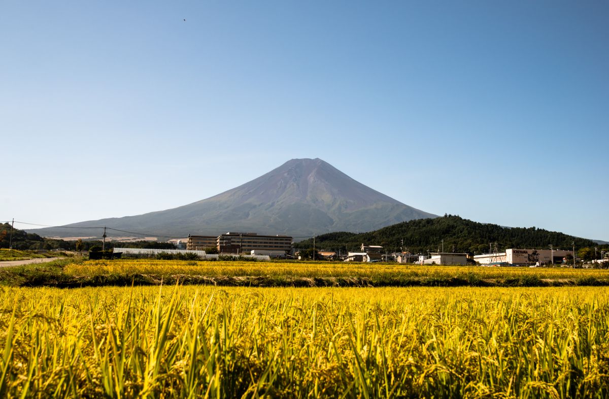 収穫の秋 | GANREF