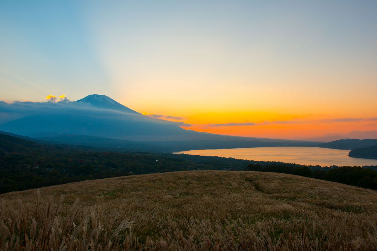 残照に染まる | GANREF