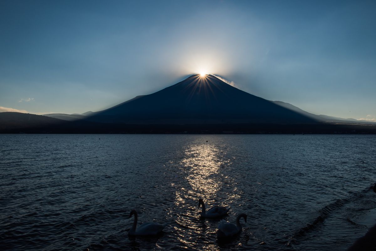 白鳥とダイヤ | GANREF