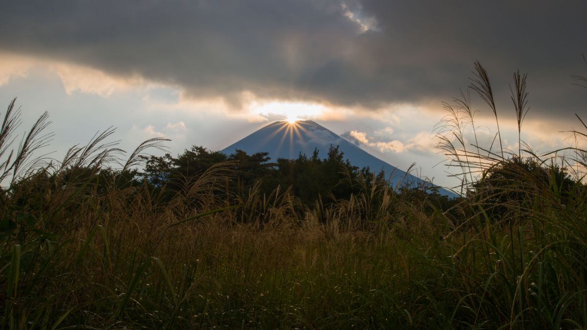 雲間の秋ダイヤ | GANREF