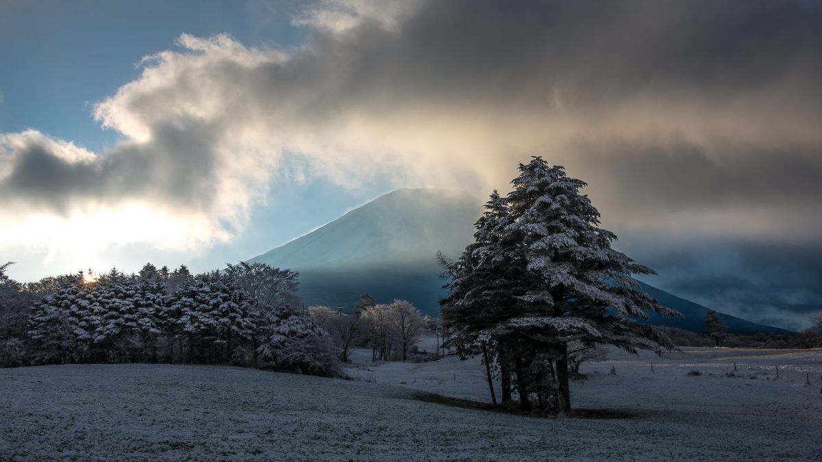 ヨと云の景色 | GANREF