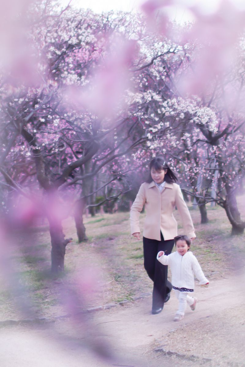 梅林をくぐり抜けて（2） | GANREF