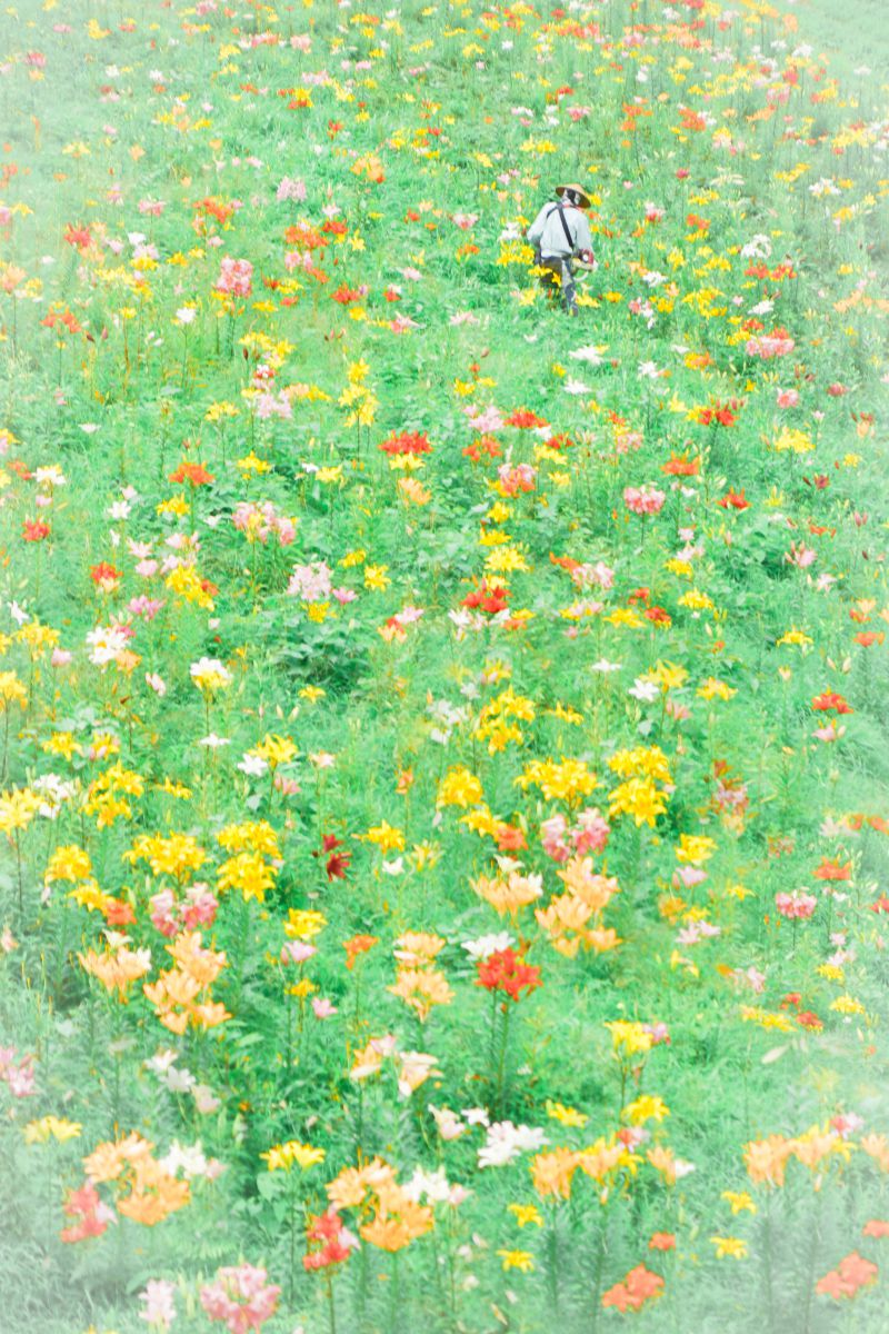 GARDEN KEEPER | GANREF