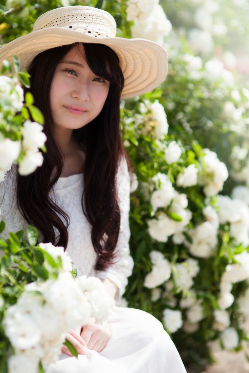 バラに憧れて | GANREF