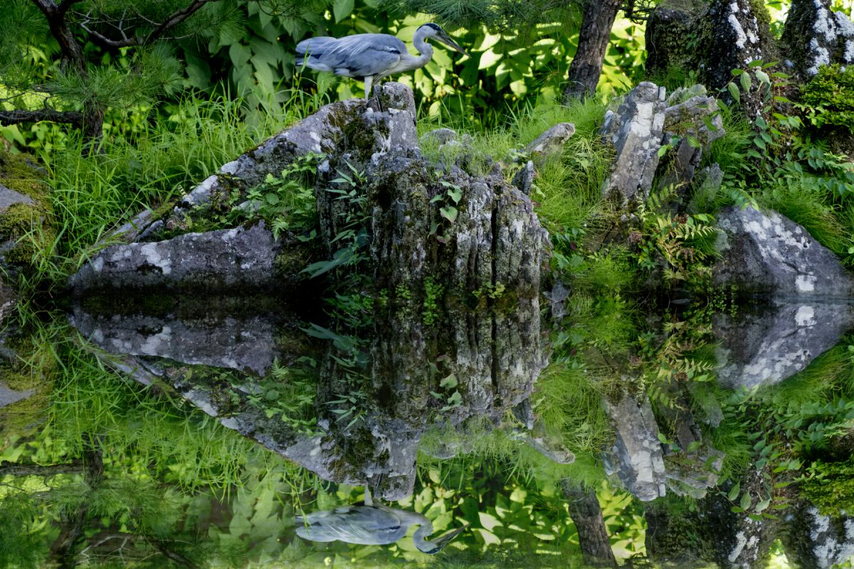 DEEP REFLECTION | GANREF