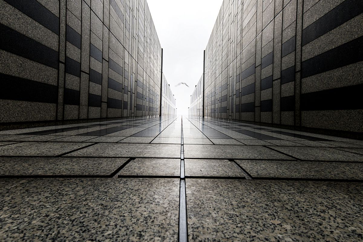 Straight Lines | GANREF