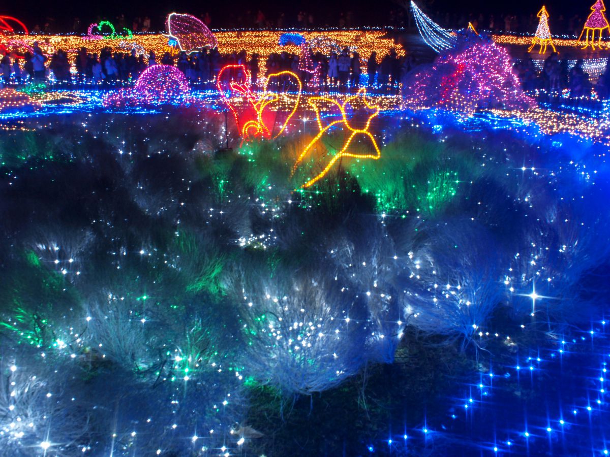 Illuminations | GANREF