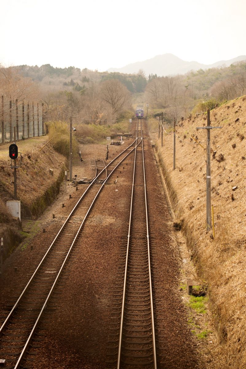 森のなかに | GANREF