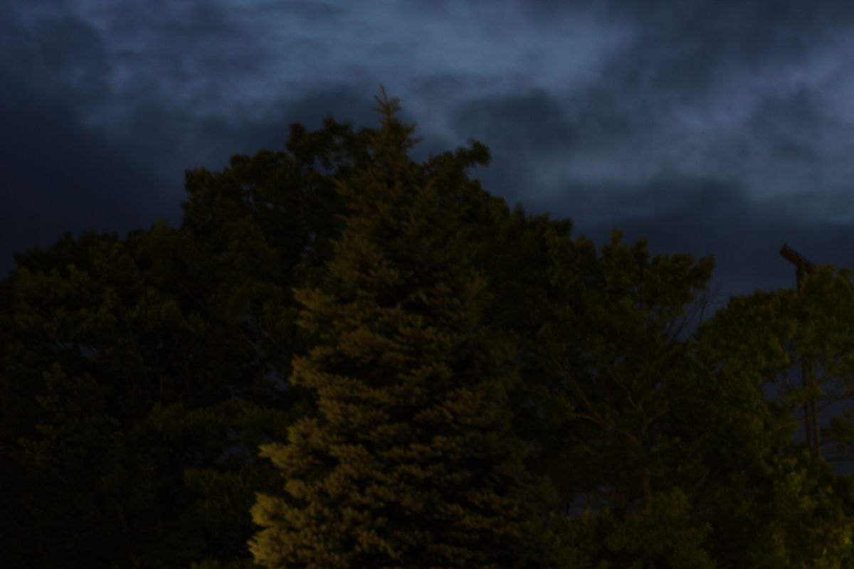 before the storm | GANREF