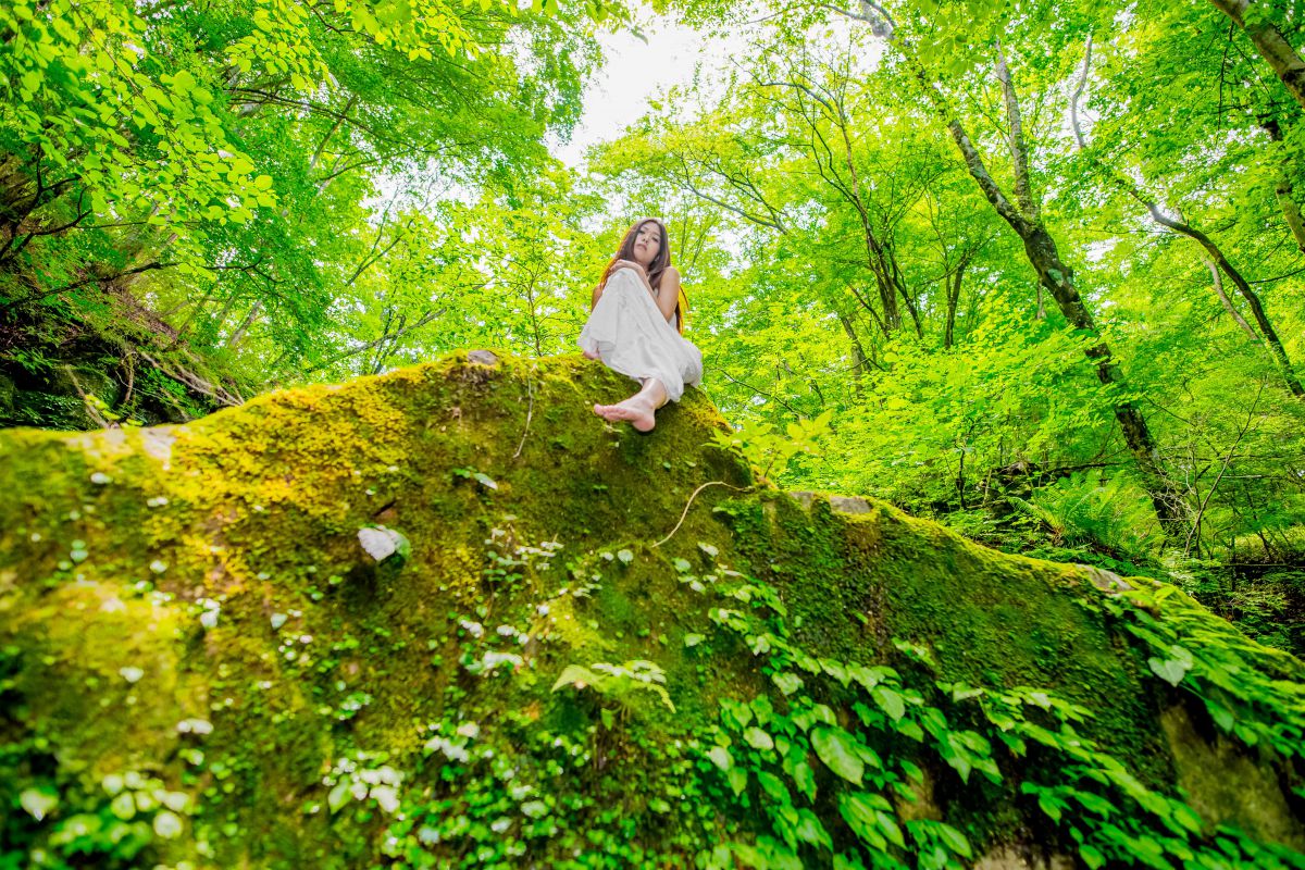 Among the fresh green | GANREF