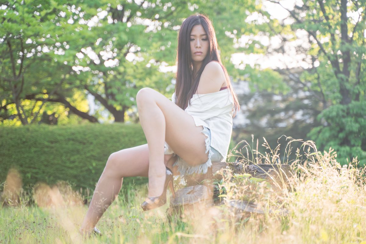 an afternoon park | GANREF