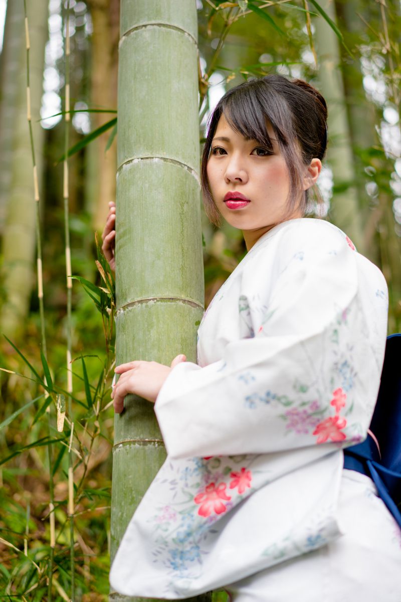 Bamboo grove | GANREF