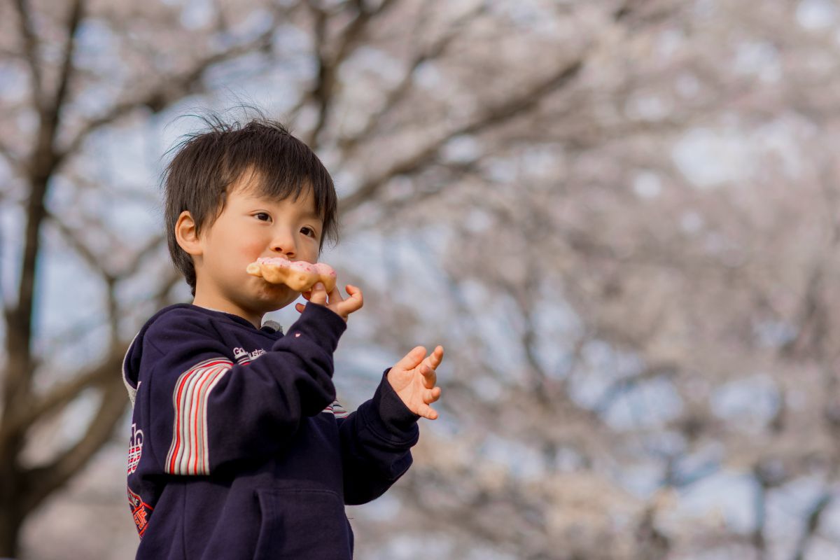 ポン・デ・ストロベリー | GANREF