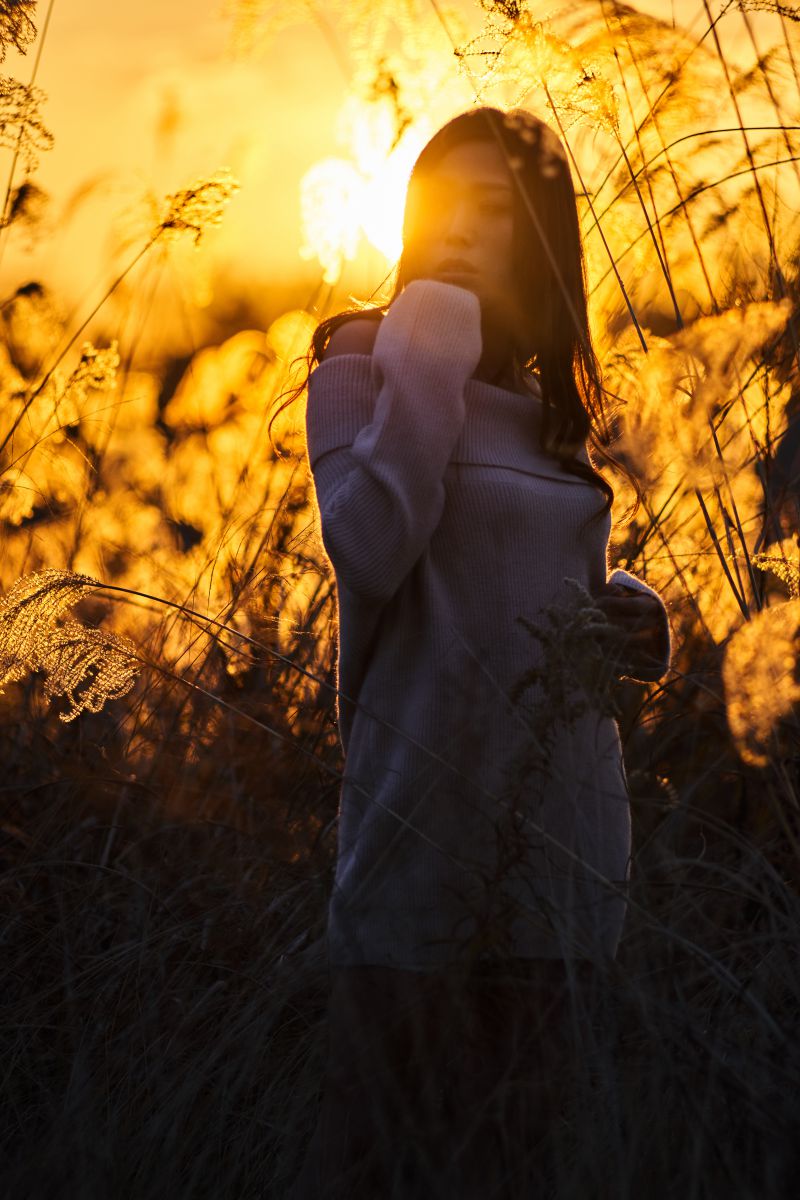 Shiny silver grass | GANREF