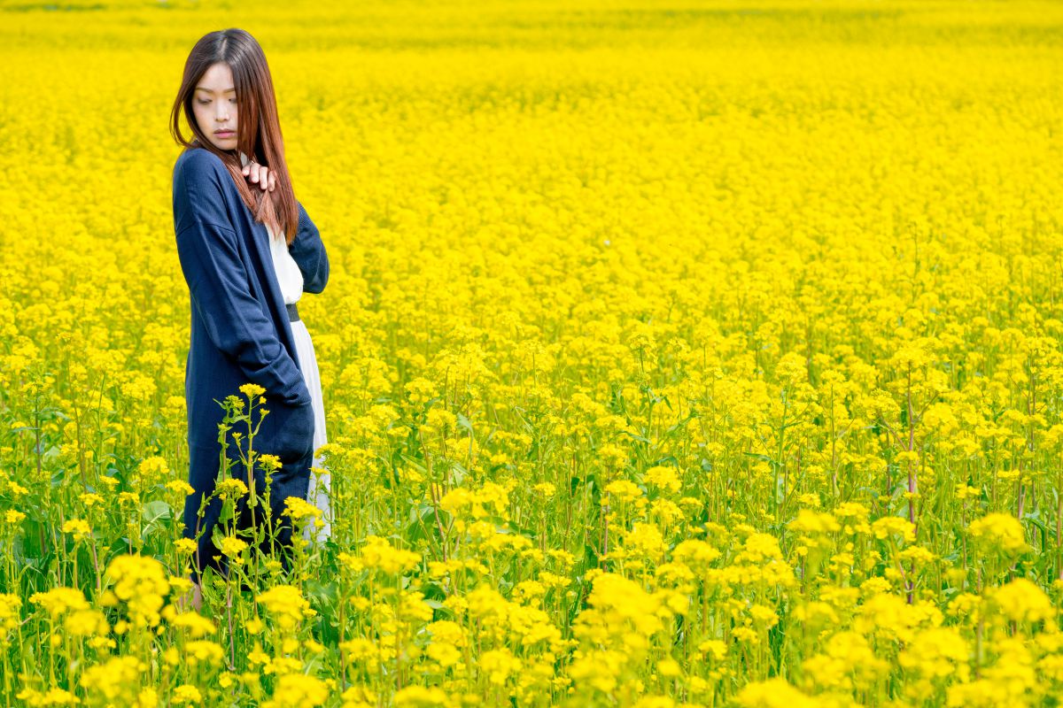 Rape field | GANREF