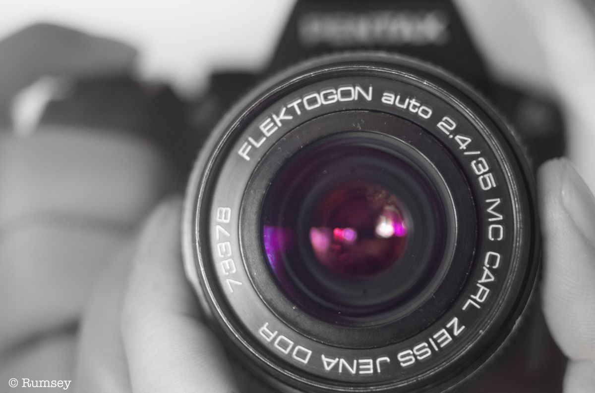 a violet subject | GANREF