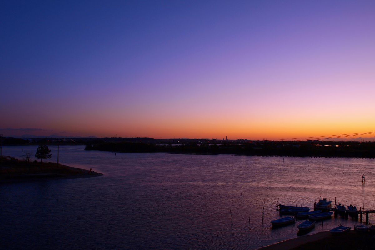 Dawn purple | GANREF