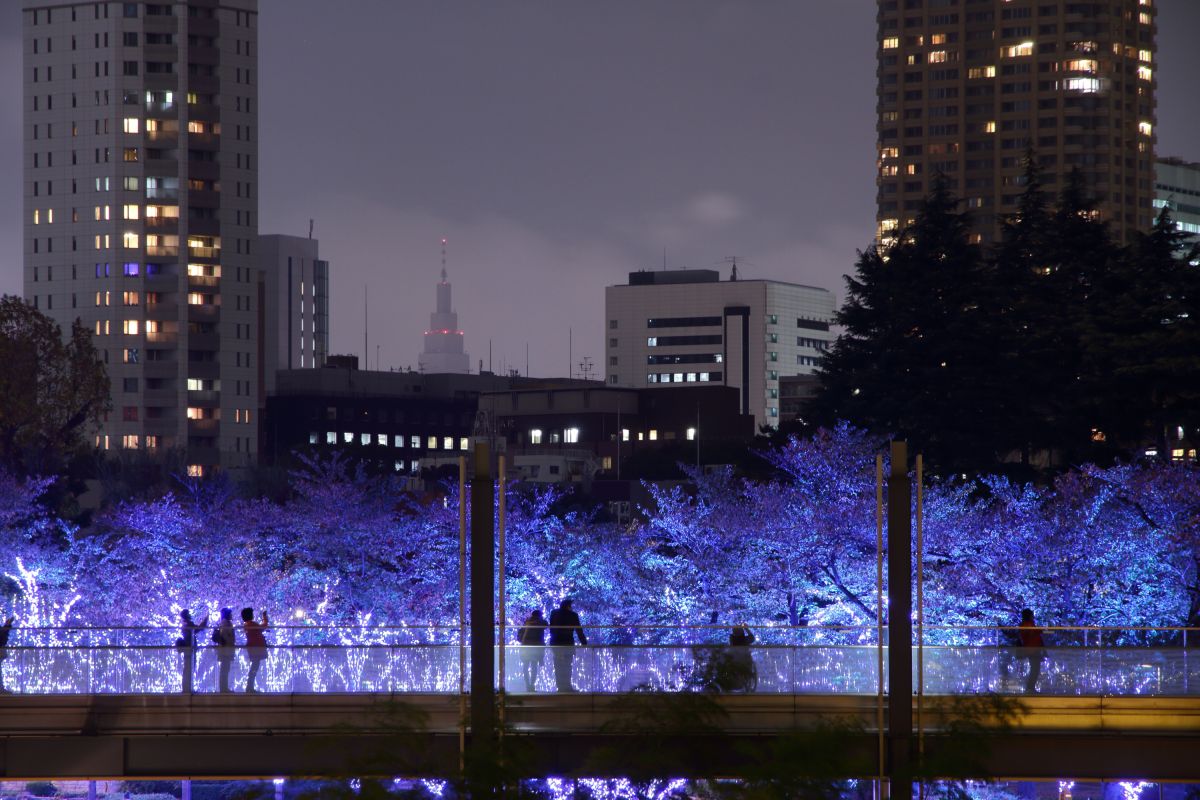 blue showcase | GANREF