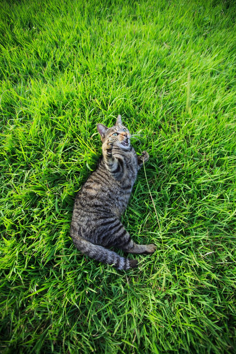 Come here ! | GANREF