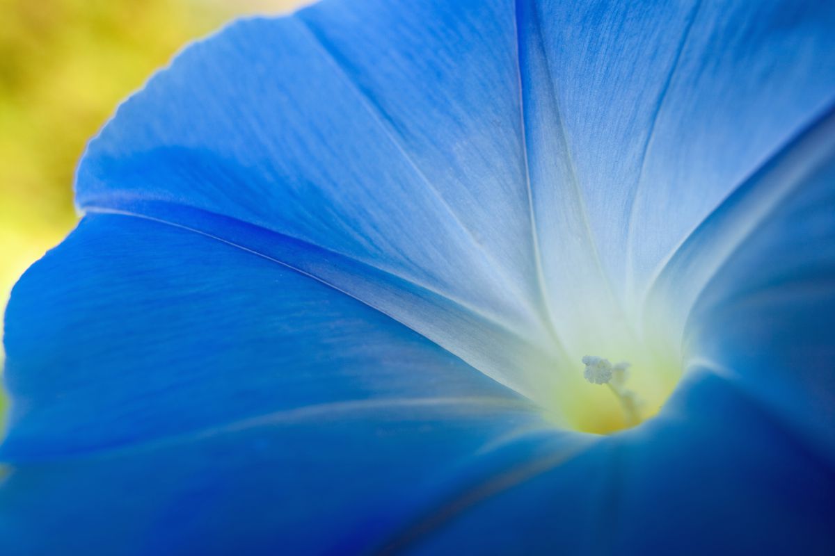 Light Blue Hole | GANREF