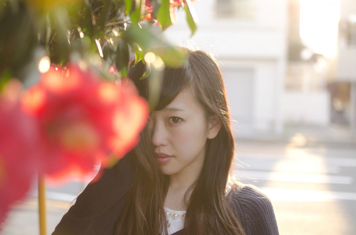 椿と夕日 | GANREF