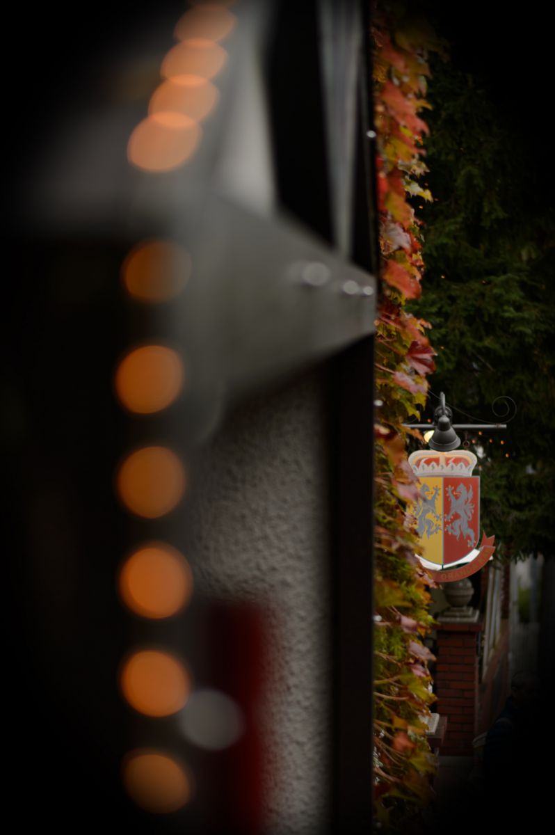 untitled 2014/11/09 | GANREF