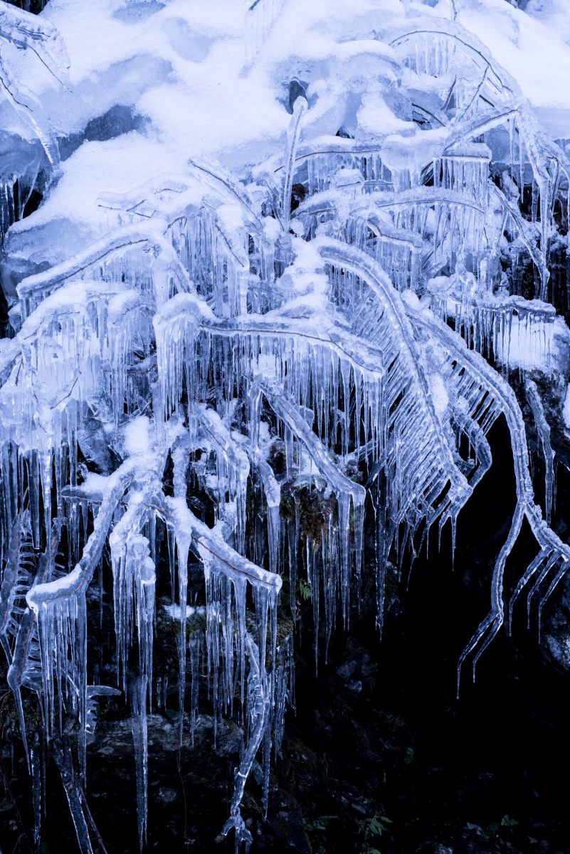 Ice Monster | GANREF