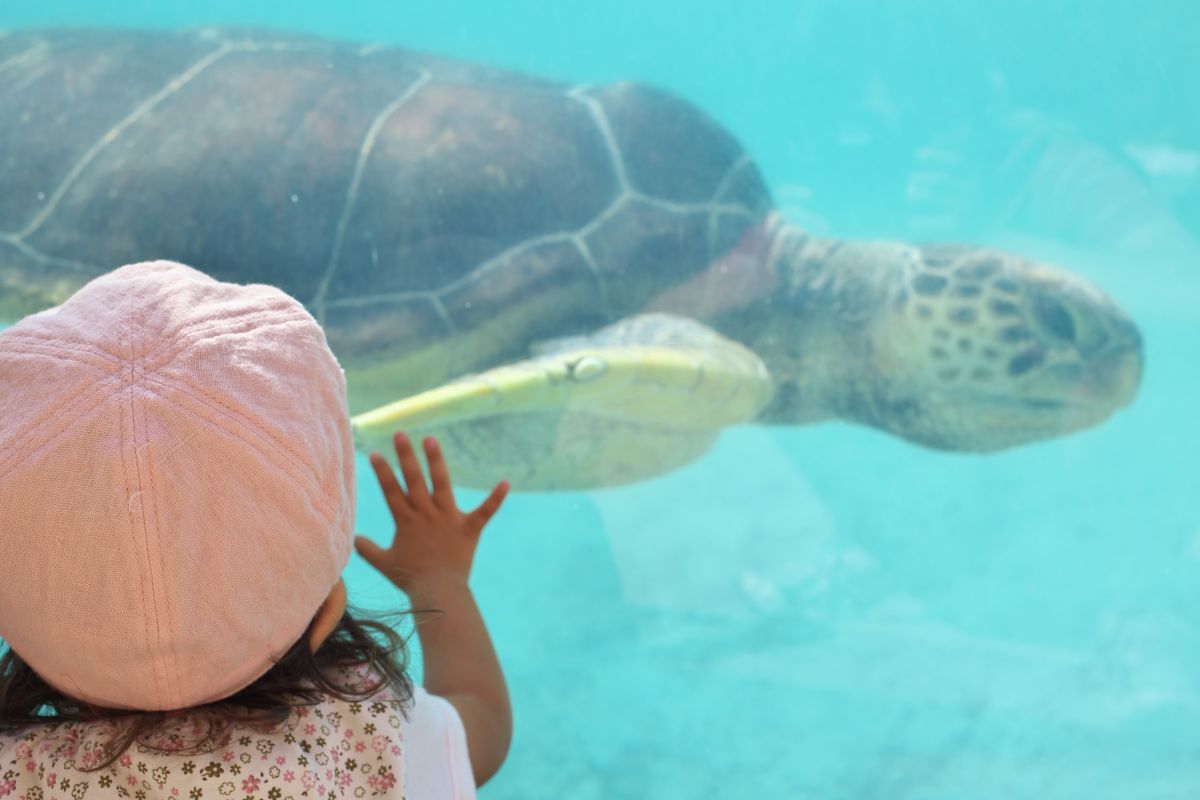 first contact | GANREF