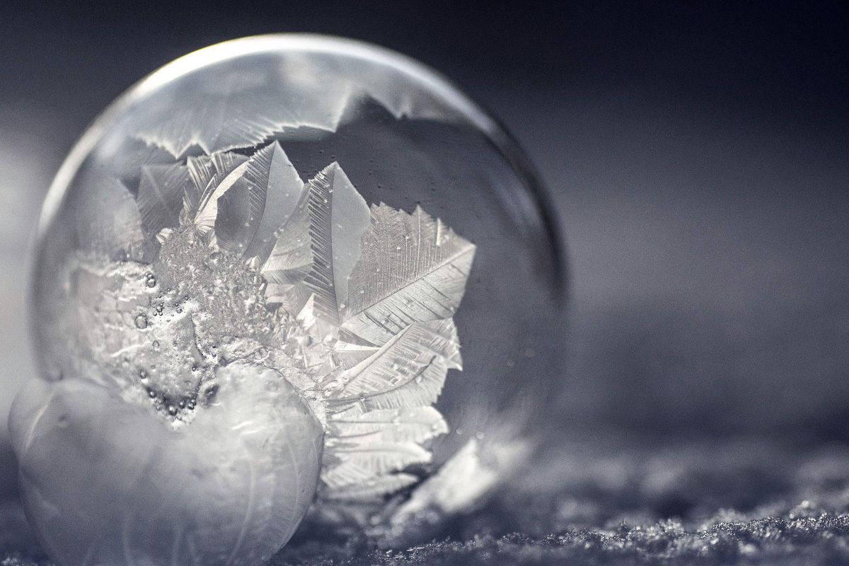 It's frozen | GANREF