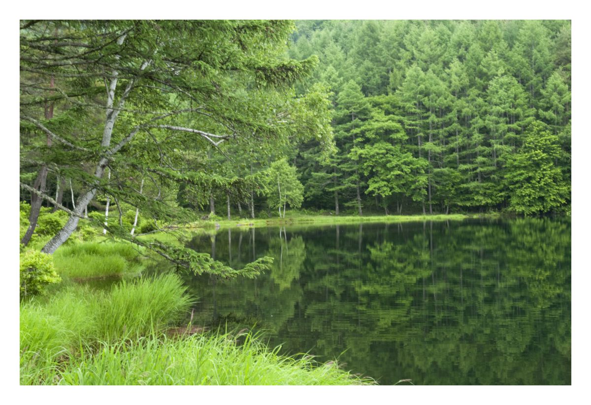緑のハーモニー2（御射鹿池） | GANREF