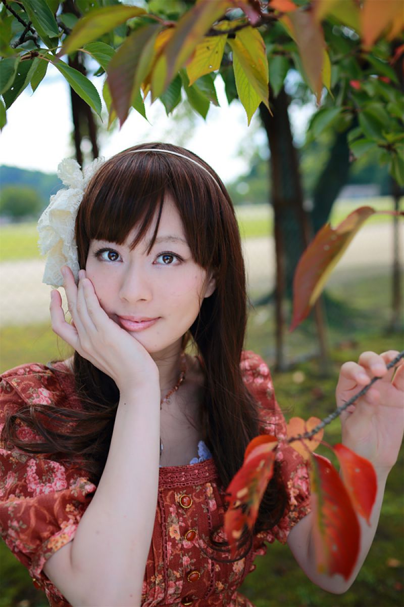 fall of the leaf | GANREF